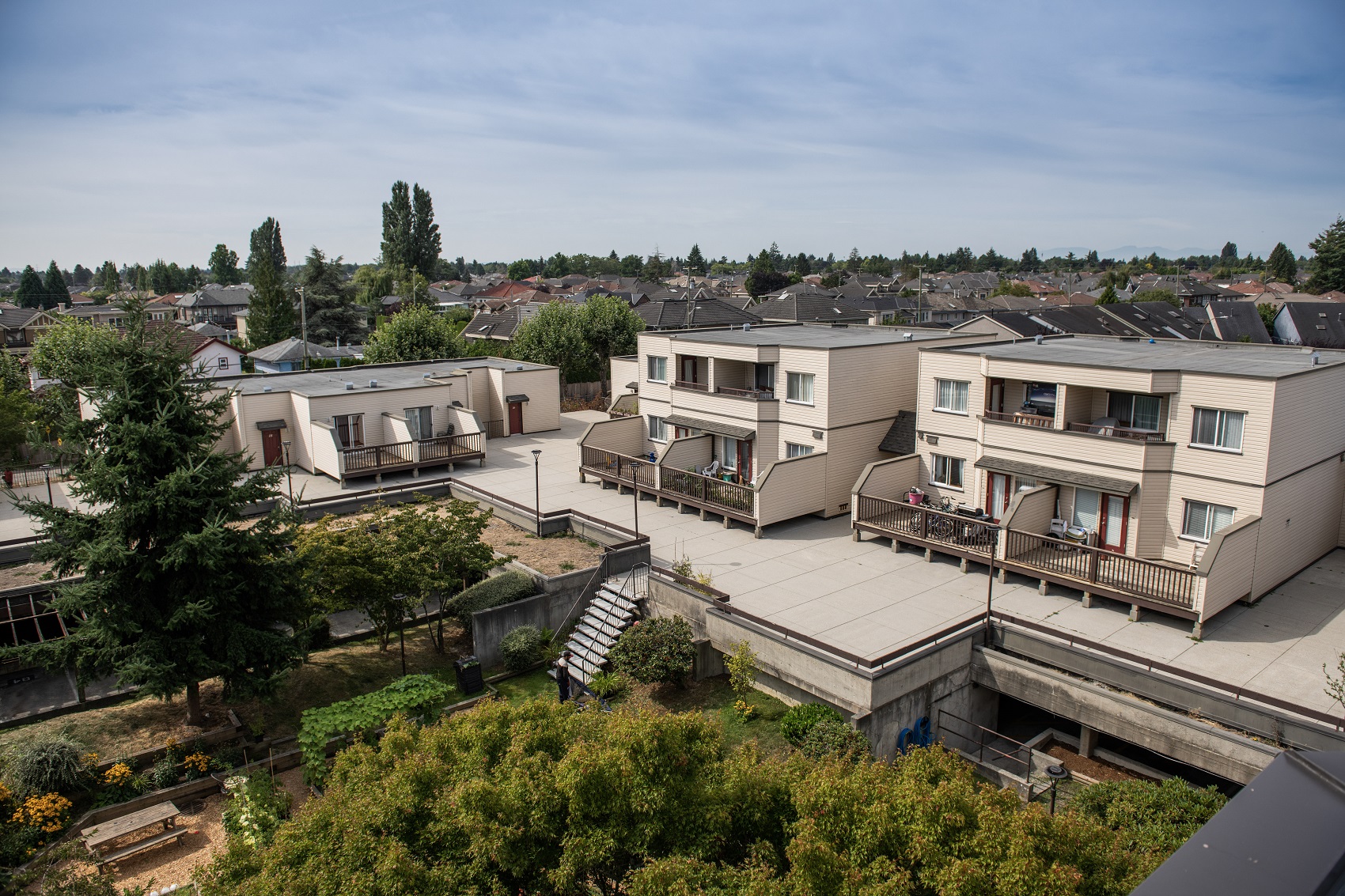 Maple Vine Court